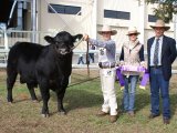 Rockhampton Junior Beef - Jim Pola Digital Marketing