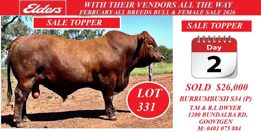 FEBRUARY ALL BREEDS BULL & FEMALE SALE 2026 - Jim Pola Digital Marketing