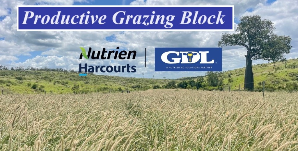 Productive Grazing Block - Jim Pola Digital Marketing