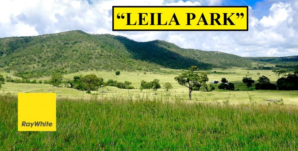 LEILA PARK - Jim Pola Digital Marketing