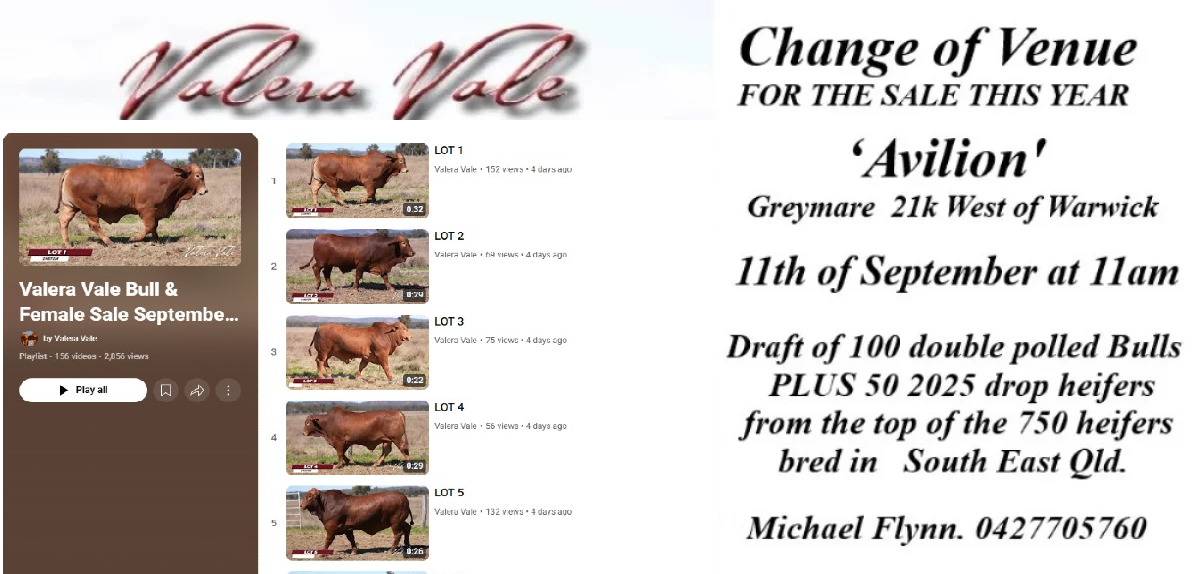 Valera Vale On Property sale - Jim Pola Digital Marketing