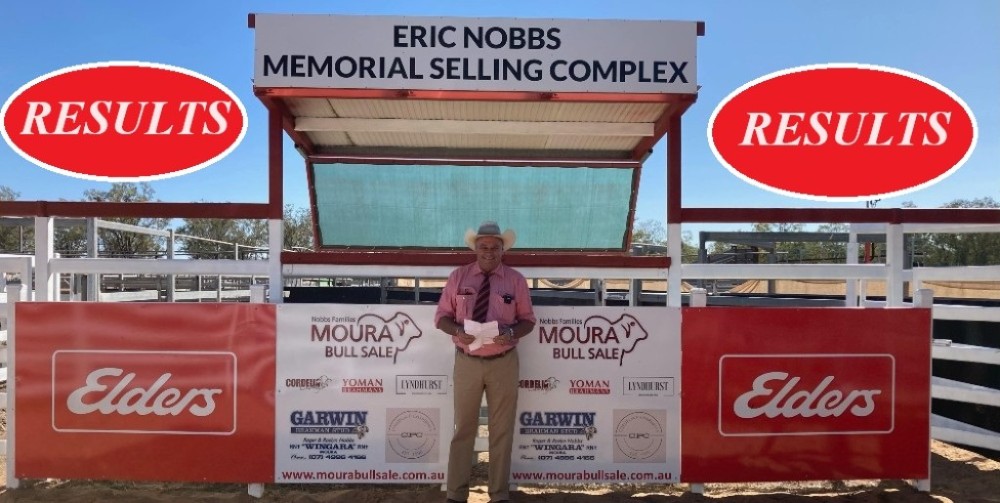 The Nobbs Families Bull Sale 2025 - Jim Pola Digital Marketing