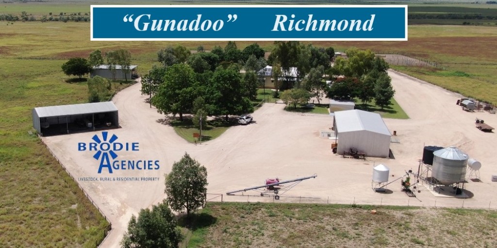 Gunadoo – Richmond - Jim Pola Digital Marketing