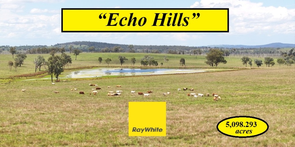 Echo Hills - Jim Pola Digital Marketing