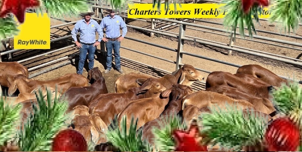 Charters Towers Report - Jim Pola Digital Marketing